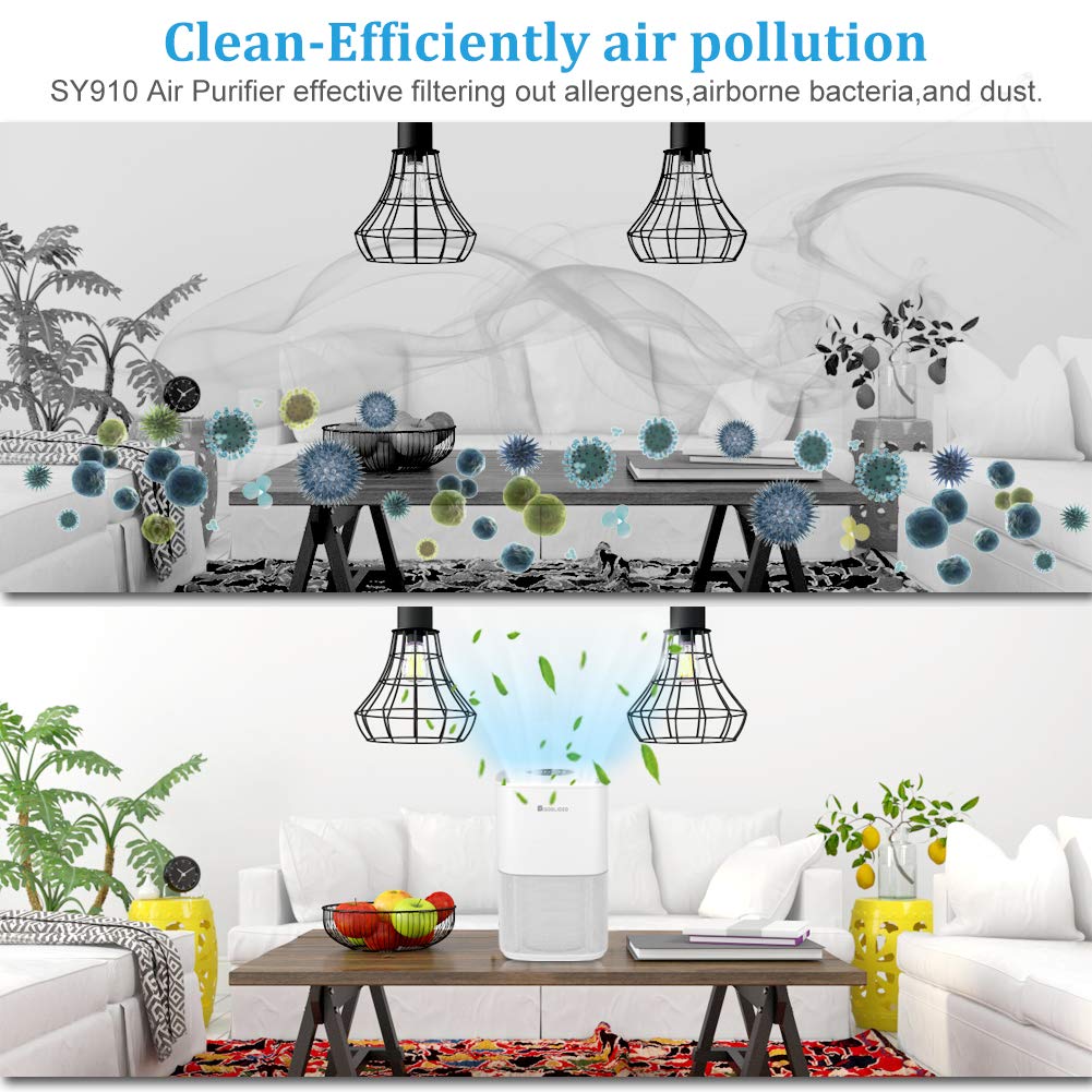ROGOGLIOSO Air Purifier H13 True HEPA Filter, High Efficiency Genuine Hepa and Activated Carbon Filter Set SY910