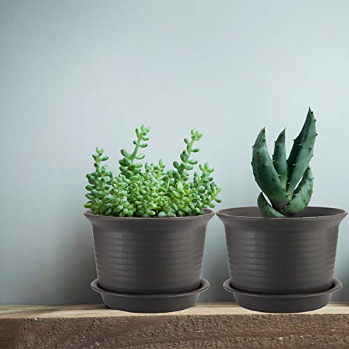 ZOUTOG ππ π·πππ π·ππππ π·πππ, 6 inches Plastic Planters with Drainage Hole and Tray, Plants Not Included