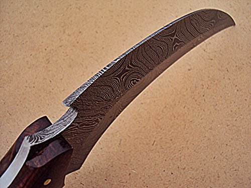Poshland BC-206 - Handmade Damascus Steel 10.20 Inches Skinner Knife & Hunting Knife - Karambit Knife