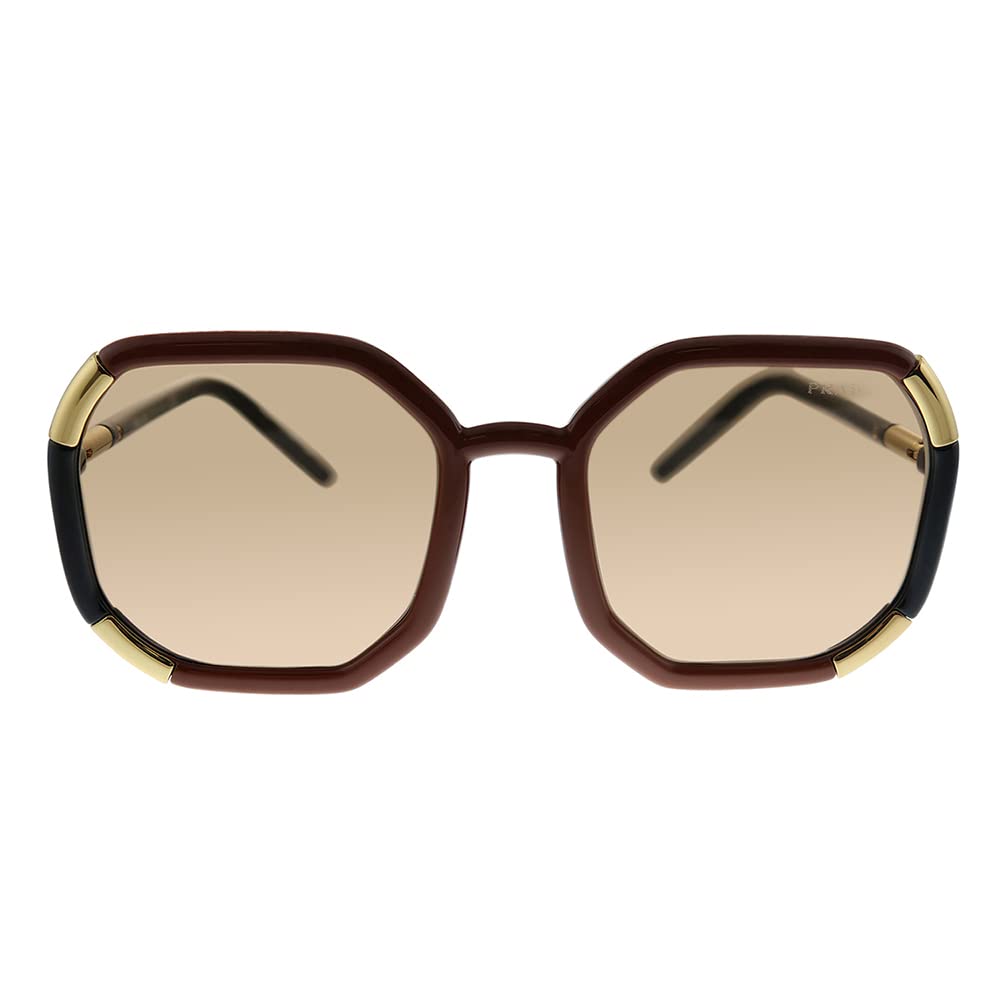 Prada PR 20XS 03F1P1 Brown/Gold/Black Plastic Square Sunglasses Brown Lens