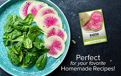 Watermelon Radish Seeds for Planting - Heirloom, Non-GMO Vegetable Seed - 2 Grams of Seeds Great for Outdoor Spring, Winter and Fall Gardening by Gardeners Basics
