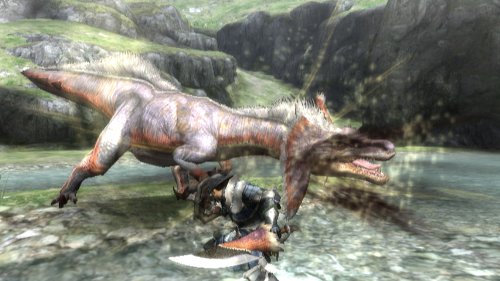 Monster Hunter Tri - Standard