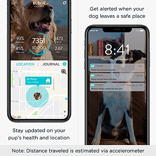 Seresto 8-Month Flea & Tick Prevention Collar for Large Dogs Over 18 lbs Plus FitBark GPS Dog Tracker | Buy Together and Get Free 1-Year GPS Subscription ($255.33 Value)