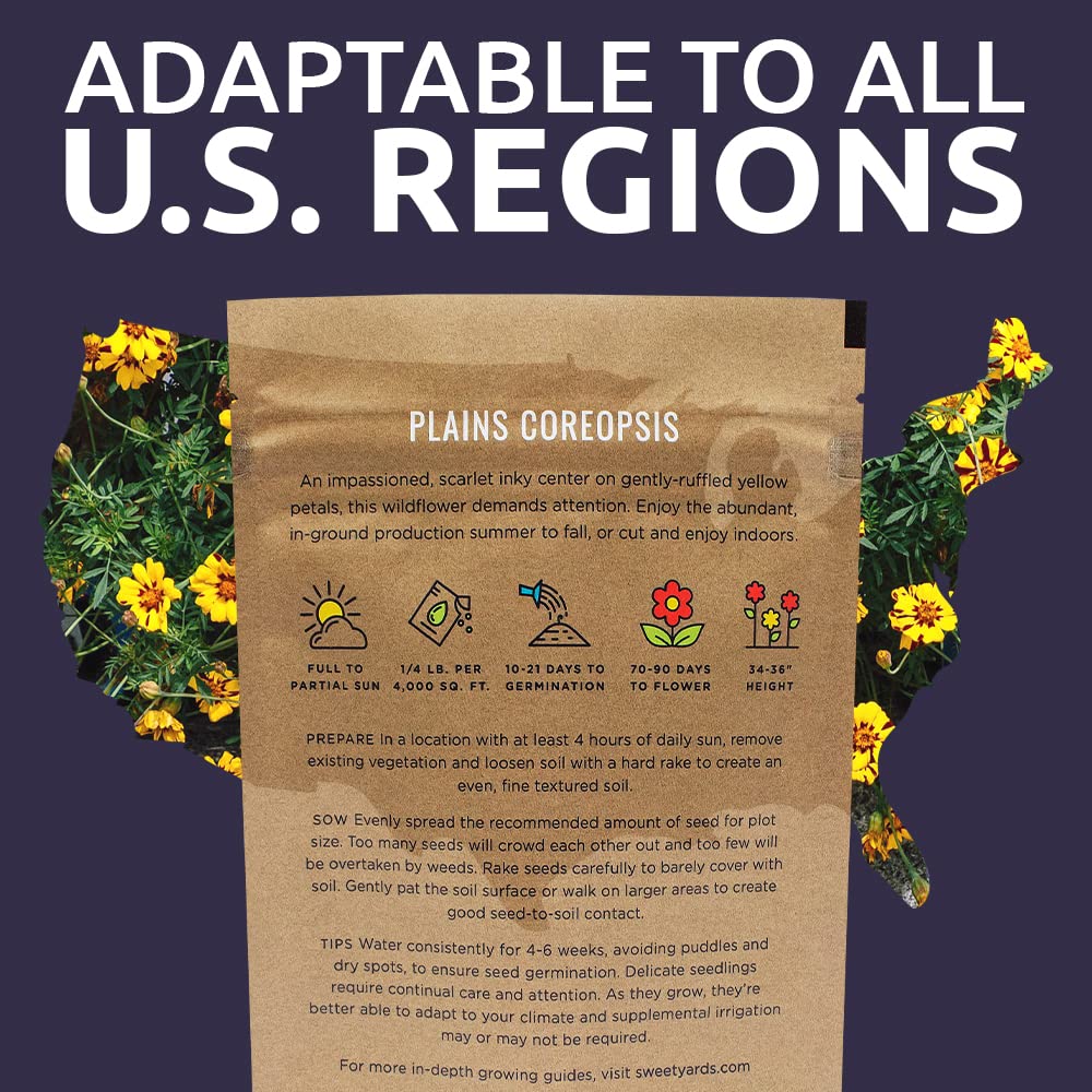 Plains Coreopsis Seeds – Native Flowers – Bulk Quarter Pound Bag – Over 400,000 Open Pollinated Non-GMO Wildflower Seeds – Coreopsis tinctorial