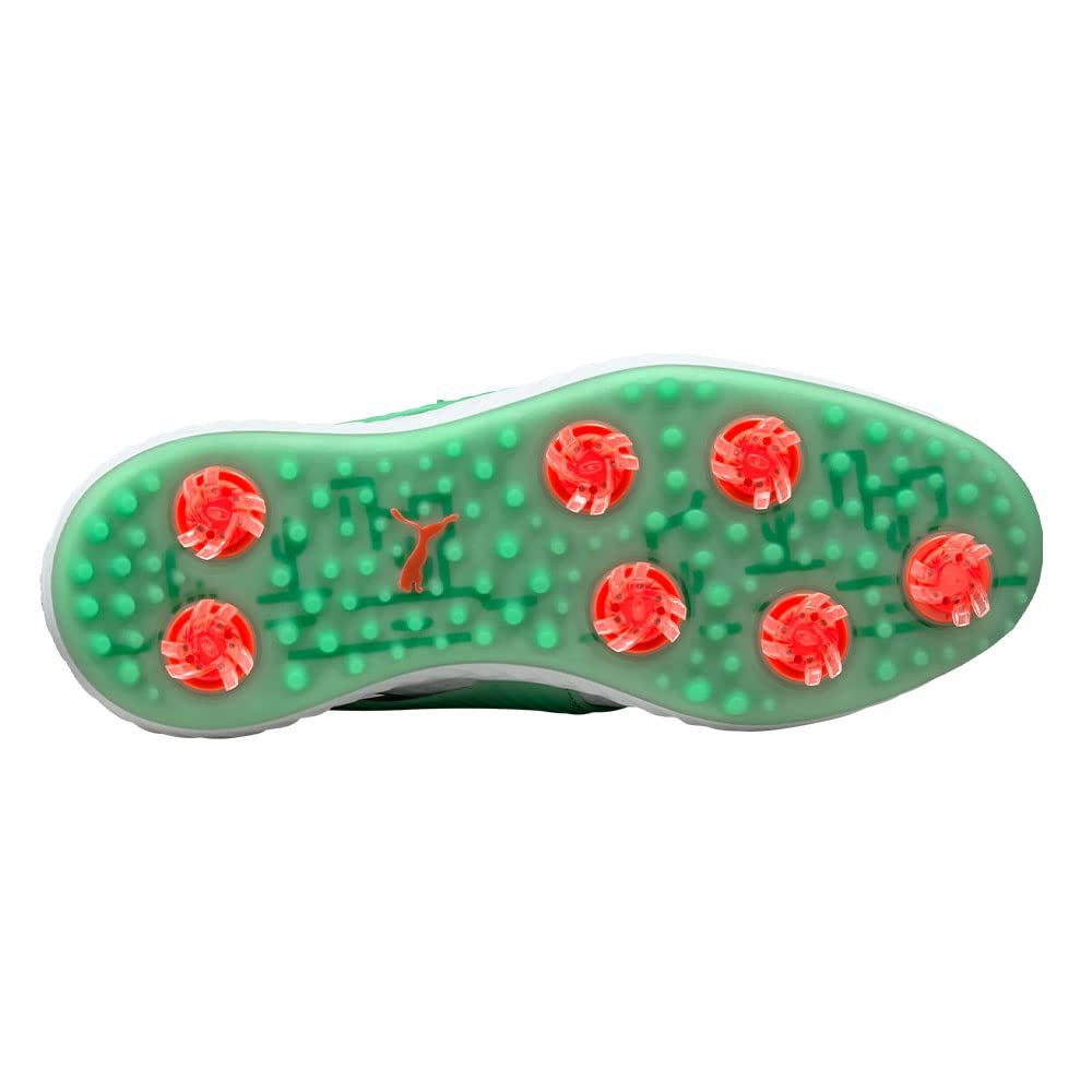 PUMA Golf- Ignite PWRAdapt Caged Flash FM Shoes High Rise/Island Green Size 11.5 M High Rise/Island Green Size 11.5 Medium