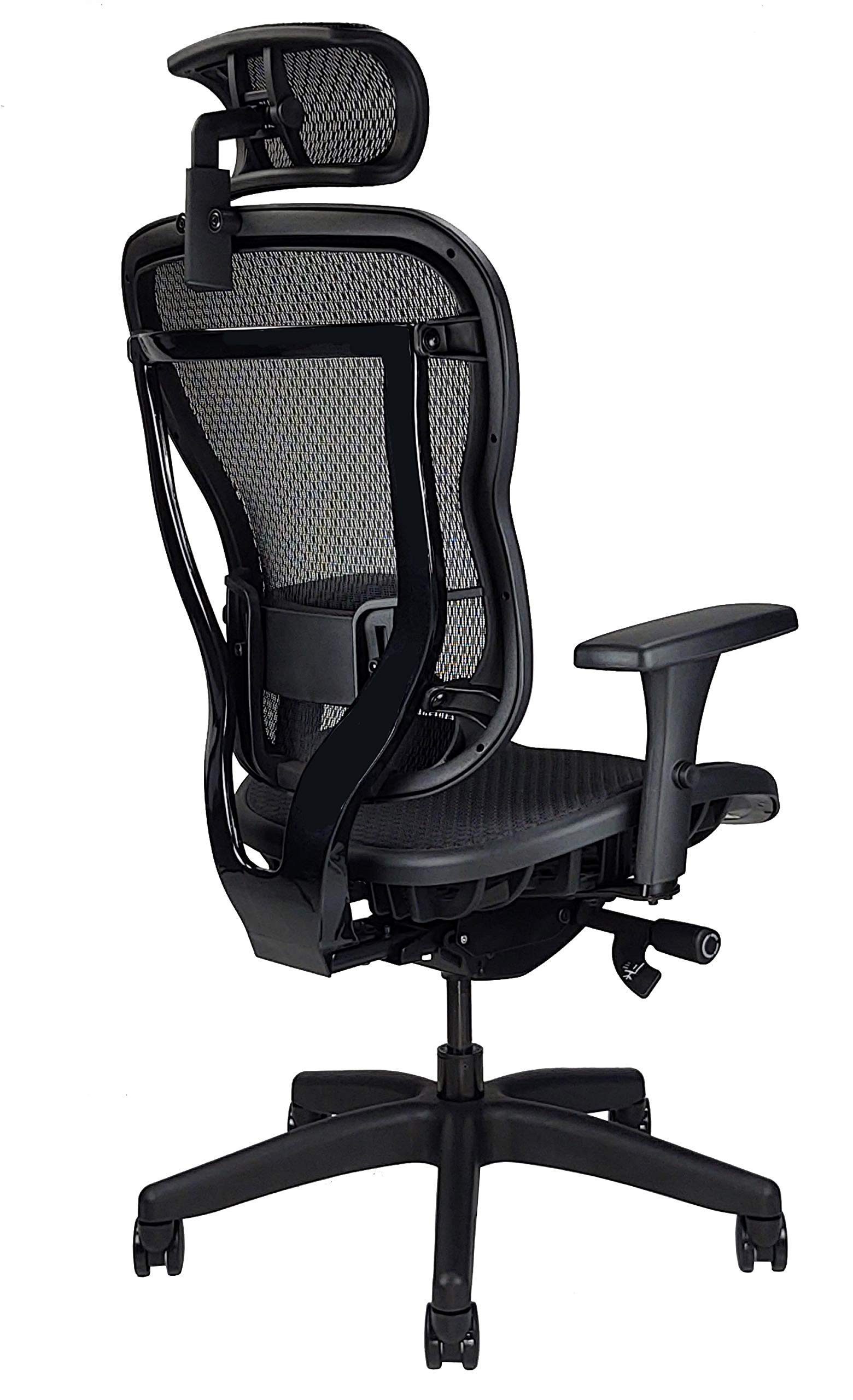 Oak Hollow Furniture Aloria Series Office Chair Ergonomic Executive Computer Chair Mesh Seat and Backrest, Adjustable and Comfortable, Lumbar Support Swivel and Tilt (Headrest, Black)