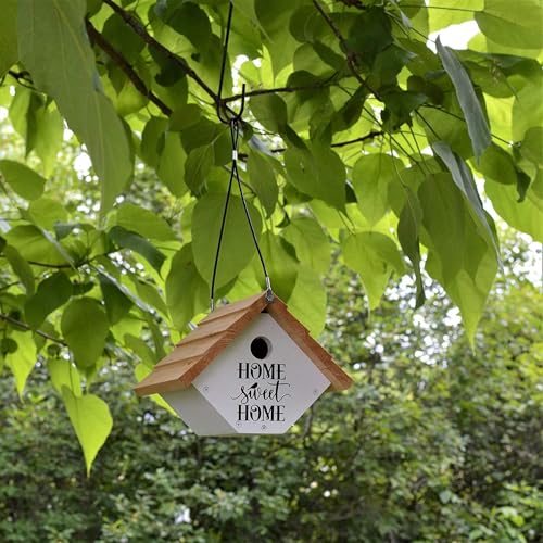 Wild Wings WWLH2-DECO Farmhouse Wren House, White