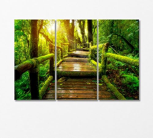 Old Wooden Bridge in Doi Inthanon National Park Thailand Canvas Print 3 Panels / 36x24 inches