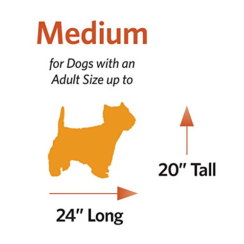 MidWest Homes for Pets Newly Enhanced Double Door iCrate Dog Crate, Includes Leak-Proof Pan, Floor Protecting Feet, Divider Panel & New Patented Features