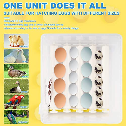 YaeCCC Egg Incubator, Automatic Egg Hatching Incubator Temperature Control for Hatching Chicken Duck Quail Bird Eggs (16 Eggs)