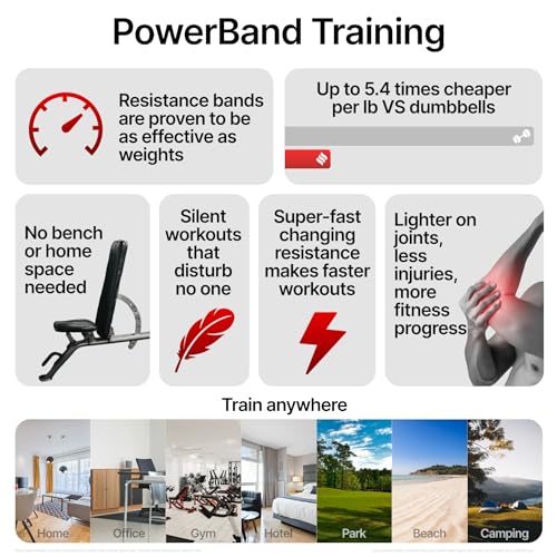 Weller Powerband Starter Kit Basic. Free Workout iPhone App, Loop Bands to Build Muscle, Home Gym, Fitness, Workout, Exercise, Heavy Duty, Powerlifting, Pull-up, Mobility, Stretching, Warm up