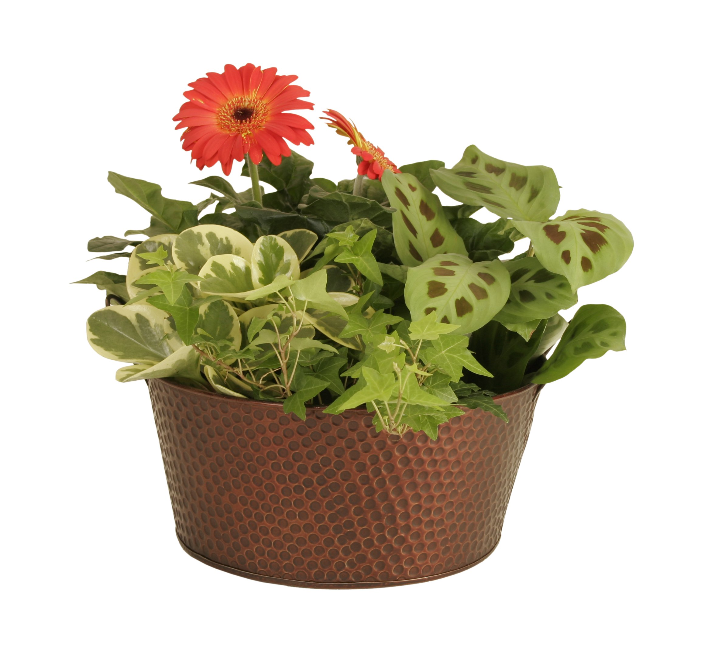 Wald Imports Copper Hammered Metal 10.5" Beverage Bucket/Pail/Tub