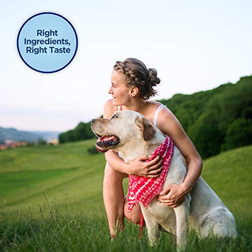 Natural Balance Limited Ingredient Chewy Bites Lamb Grain-Free Dog Treats for Dogs | 4-oz. Pouch