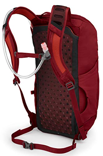 Osprey Skarab 18L Men's Hiking Backpack with Hydraulics Reservoir, Mystic Red