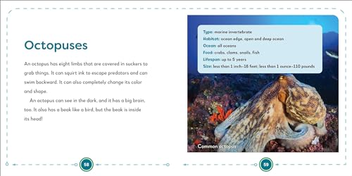 My First Book of Ocean Animals: All About Marine Wildlife for Kids