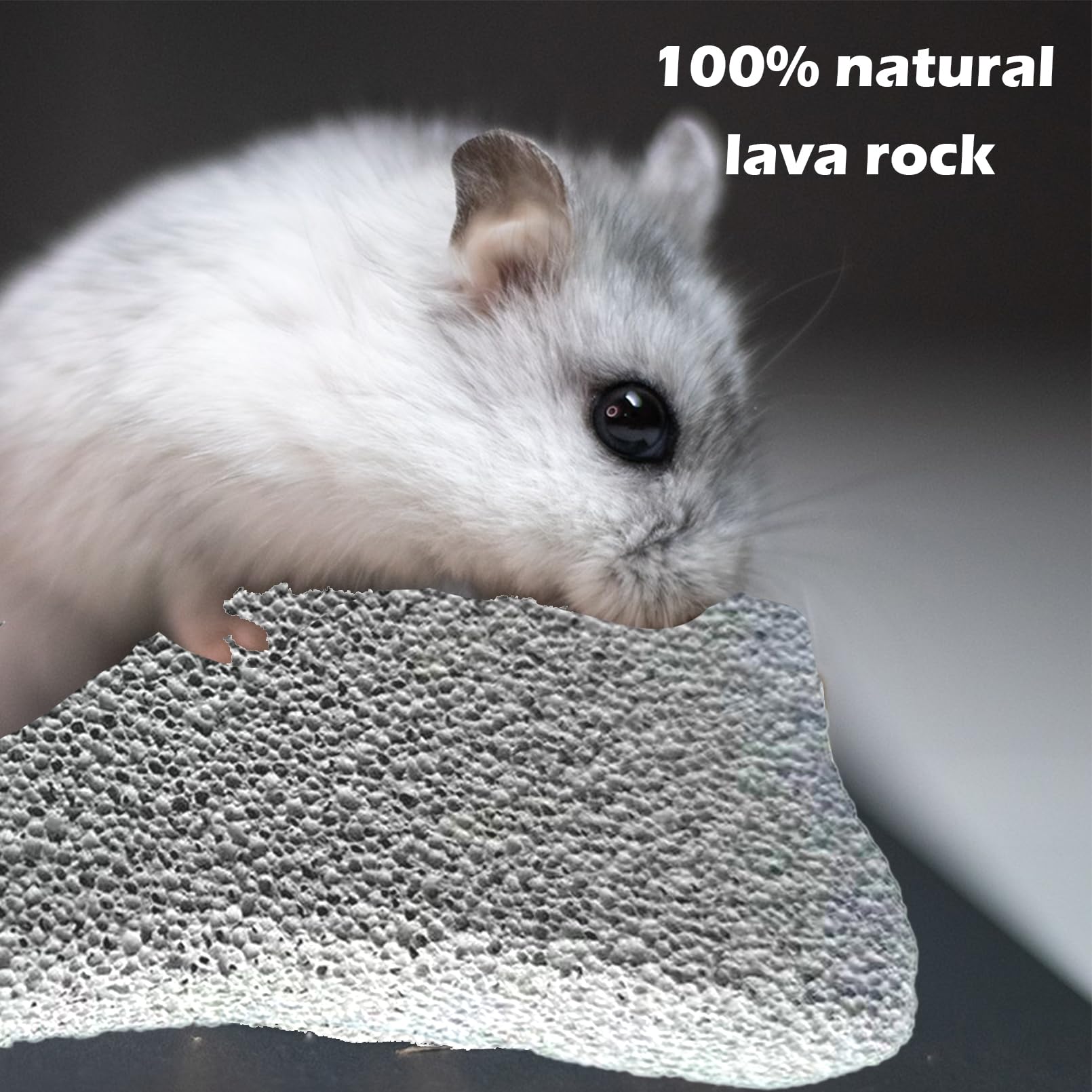 MUYG 5.12 Inch Rabbit Lava Blocks,6 Pcs Small Animals Chews Toys High Calcium Hamster Lava Teeth Grinding Stone for Rabbits Guinea Pig Rats Bunny Hamsters Chinchilla(White)