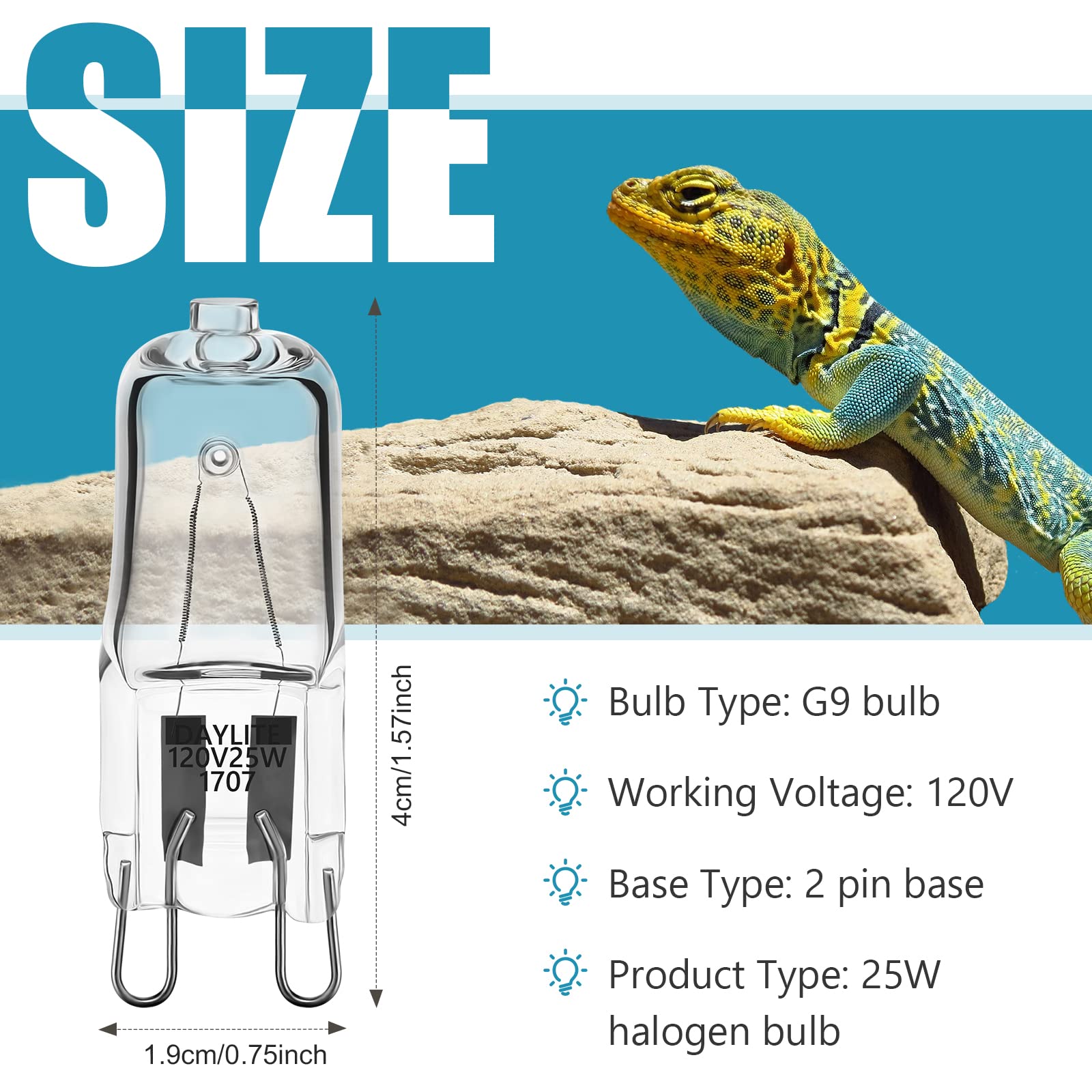 Riakrum 6 Pieces G9 Halogen Light Bulbs 25 Watt Mini Halogen Lamp Reptile Bulb Warm White Bulb G9 Replacement Bulb 120 Volt Clear Small Halogen Bulb 2 Pin Base Light Bulb Light Fixture Bulb