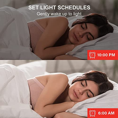 Sengled Smart Light Bulbs, WiFi Bulb, BR30 LED Smart Bulb Dimmable, Smart Flood Light, Smart Bulbs That Work with Alexa and Google, 5000K 65W 650LM, 2.4GHz WiFi Only Support, No Hub Required-4 Pack
