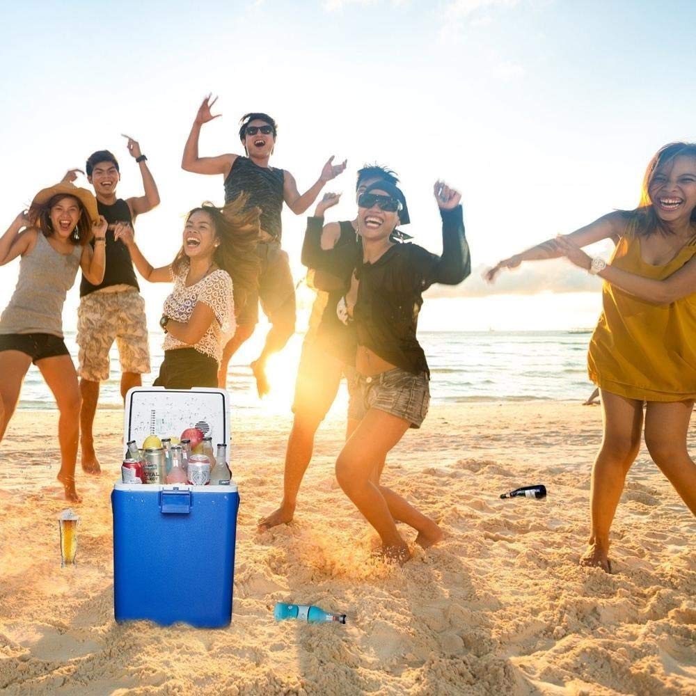 N/A Thermoelectric Mini Fridge Cooler and Warmer - for Home,Office, Car, Dorm or Boat - Compact & Portable