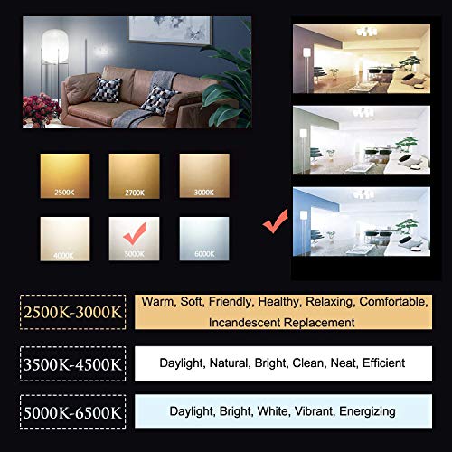 OMAYKEY 12W Dimmable Large LED Globe Bulb 100W Equivalent 1000 Lumens, 5000K Daylight White E26 Medium Base, Vintage Edison G125 Large Globe Clear Glass LED Filament Light Bulb, Deep Dimming Version