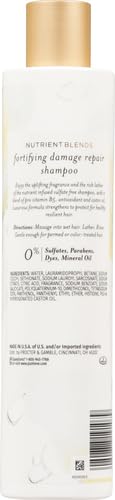 Pantene Sulfate Free Shampoo with Castor Oil, Nutrient Blends Fortifying Damage Repair, 9.6 Fl Oz