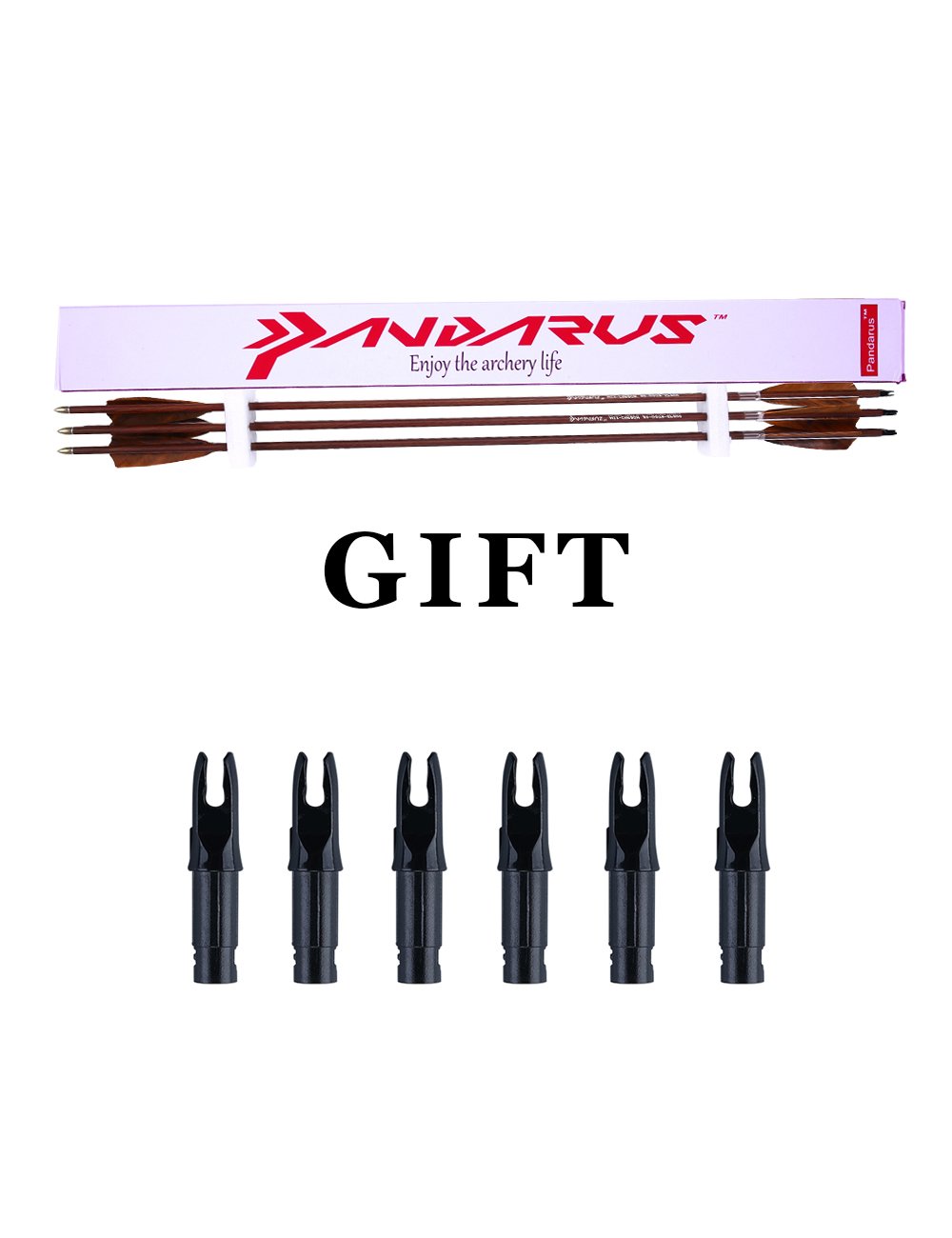 PANDARUS Archery 31-Inch Carbon Hunting Arrows, 4-Inch Turkey Feather Fletching with Replaceable Points, Targeting Practice Arrows Spine 500 for Recurve & Traditional Bows (12 Pack)