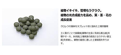 Nutritional 30g 3 Pieces to Fill in chlorella of Grace Soil