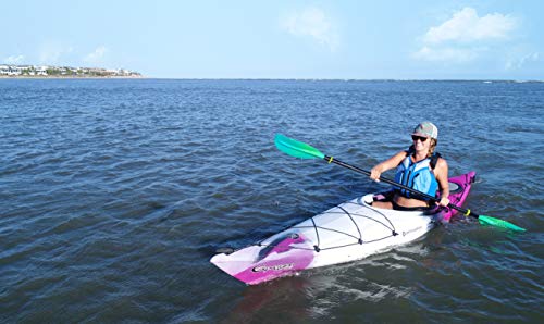 Perception Kayaks Expression 11.5 | Sit Inside Kayak | Light Touring Kayak with Adjustable Zone Seating | 11' 6" | Dapper