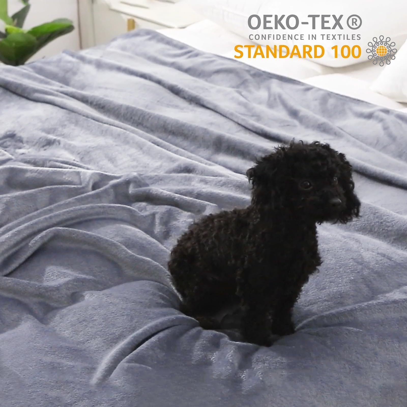 MUXHOMO Fleece Throw Blanket for Couch, Cozy Lightweight Flannel Blanket, Warm Fuzzy Blanket for Winter Bed Sofa Travel (Light Grey, 50" x 60")