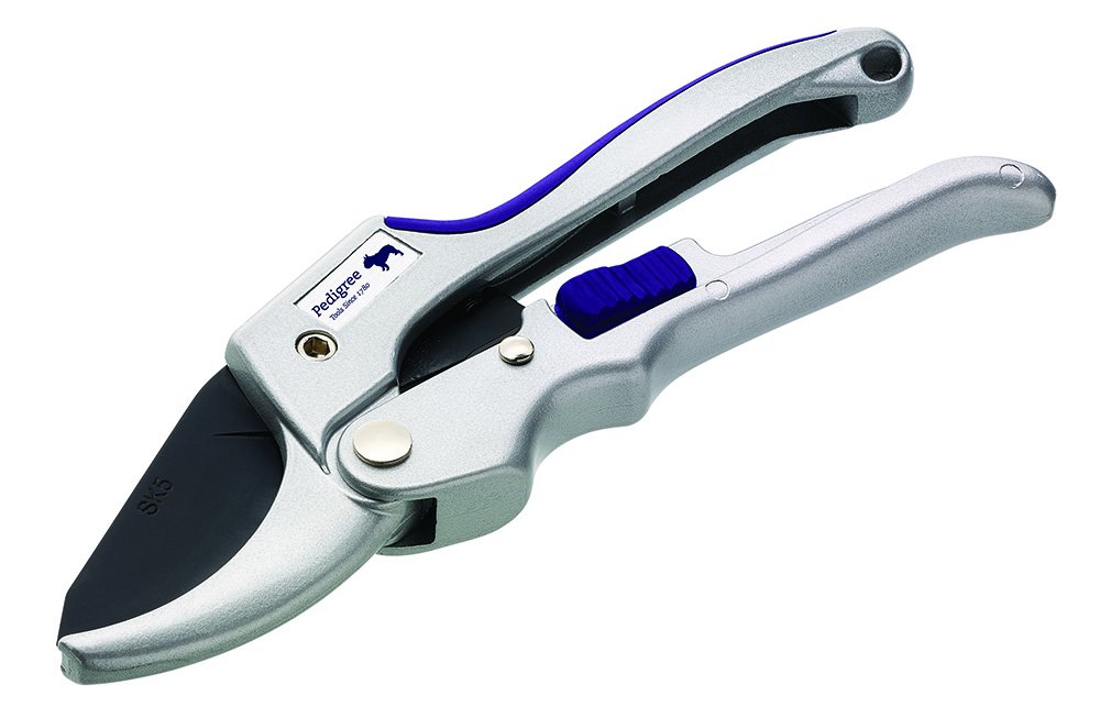 Pedigree Garden Tools PGPRS Power Ratchet Secateurs, 6x2x21 cm, Blue