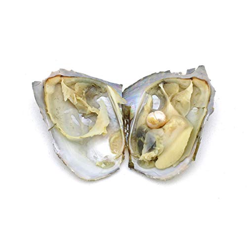 Pisces Zodiac Pearl Necklace Love with with Genuine Pearl