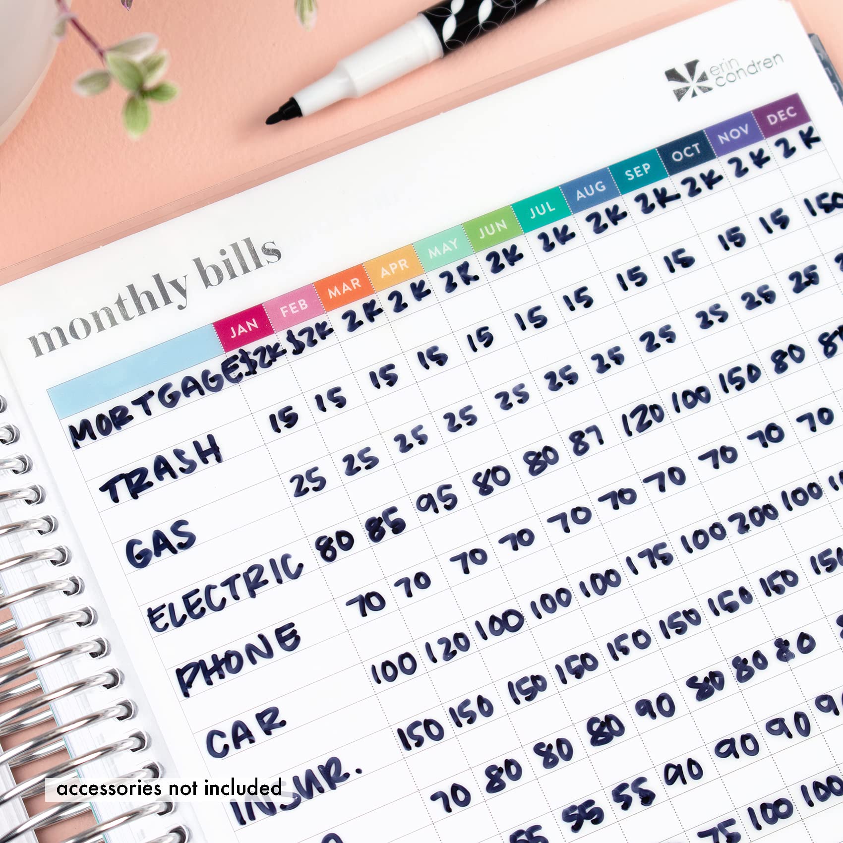 Snap-in Dashboard - Bill Tracker. Reusable Budget Dashboard for Tracking Expenses. Wet-Erase and Double-Sided. 7" x 9" or Larger Notebook Snap-in Accessory by Erin Condren.