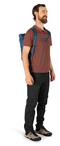 Osprey Daylite Tote Pack, Wave Blue