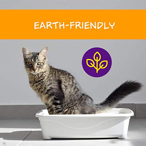 Petfive Garfield Cat Litter Ultimate Clump, All Natural, Fast Clumping, Good for Multi-Cat Homes, Small Grains, 10 lbs