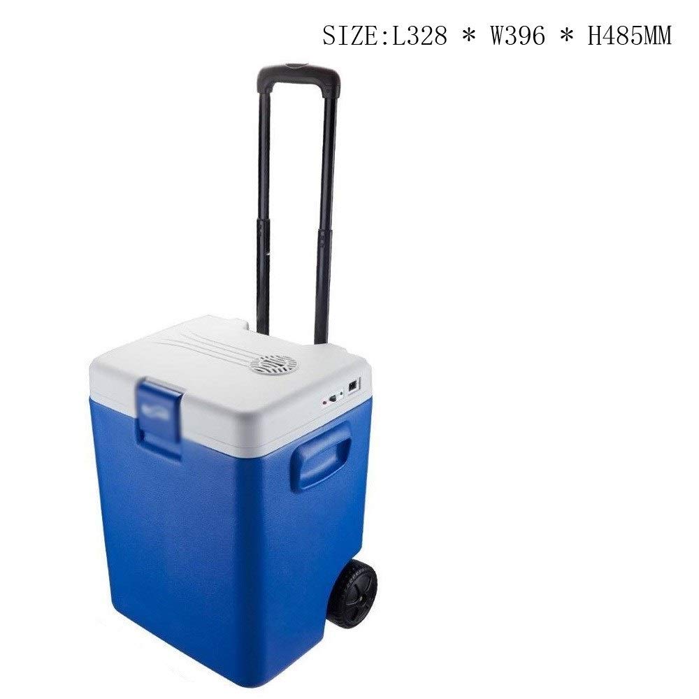 N/A Thermoelectric Mini Fridge Cooler and Warmer - for Home,Office, Car, Dorm or Boat - Compact & Portable