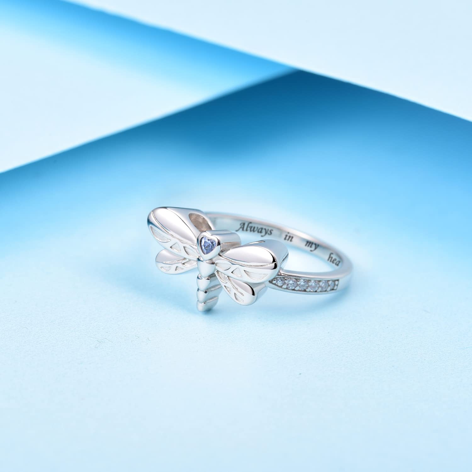 Sterling Silver Dragonfly Urn Ring Always in My Heart Women Ring Animal Memorial Keepsake Cremation Ash Jewelry for Loss of a Loved One