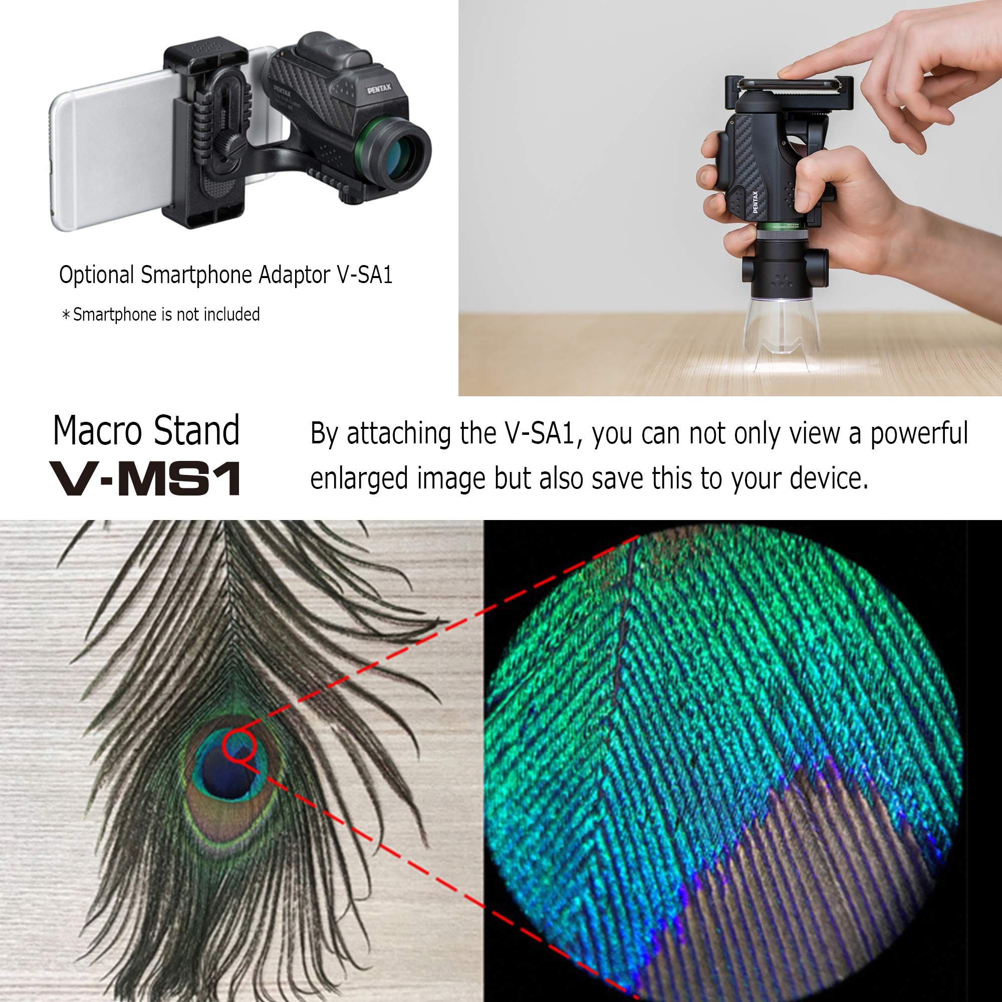 PENTAX V-MS1 Monocular Macro Stand with LED Light for PENTAX VM6X21 When Attached to The monocular, You can use it as a Microscope for 18x Magnification - Perfect for observing Microscopic Detail