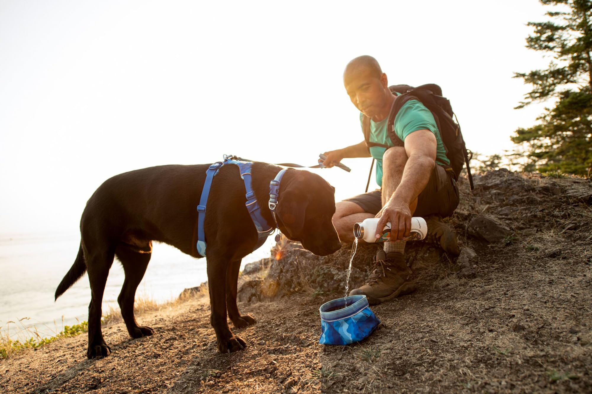 Ruffwear, Quencher Dog Bowl, Collapsible, Portable Food and Water Bowl, Huckleberry Blue, Large