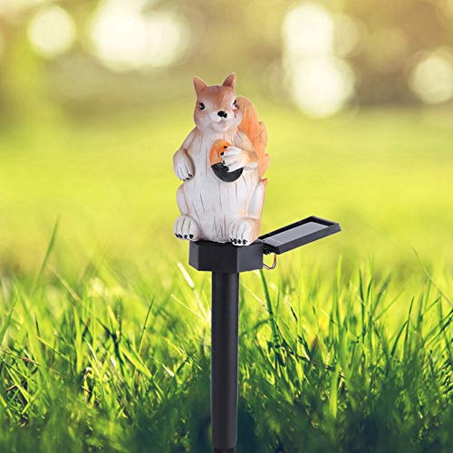 Outdoor Solar Lawn Light, Home Décor Garden Lights, Waterproof Party for Landscape