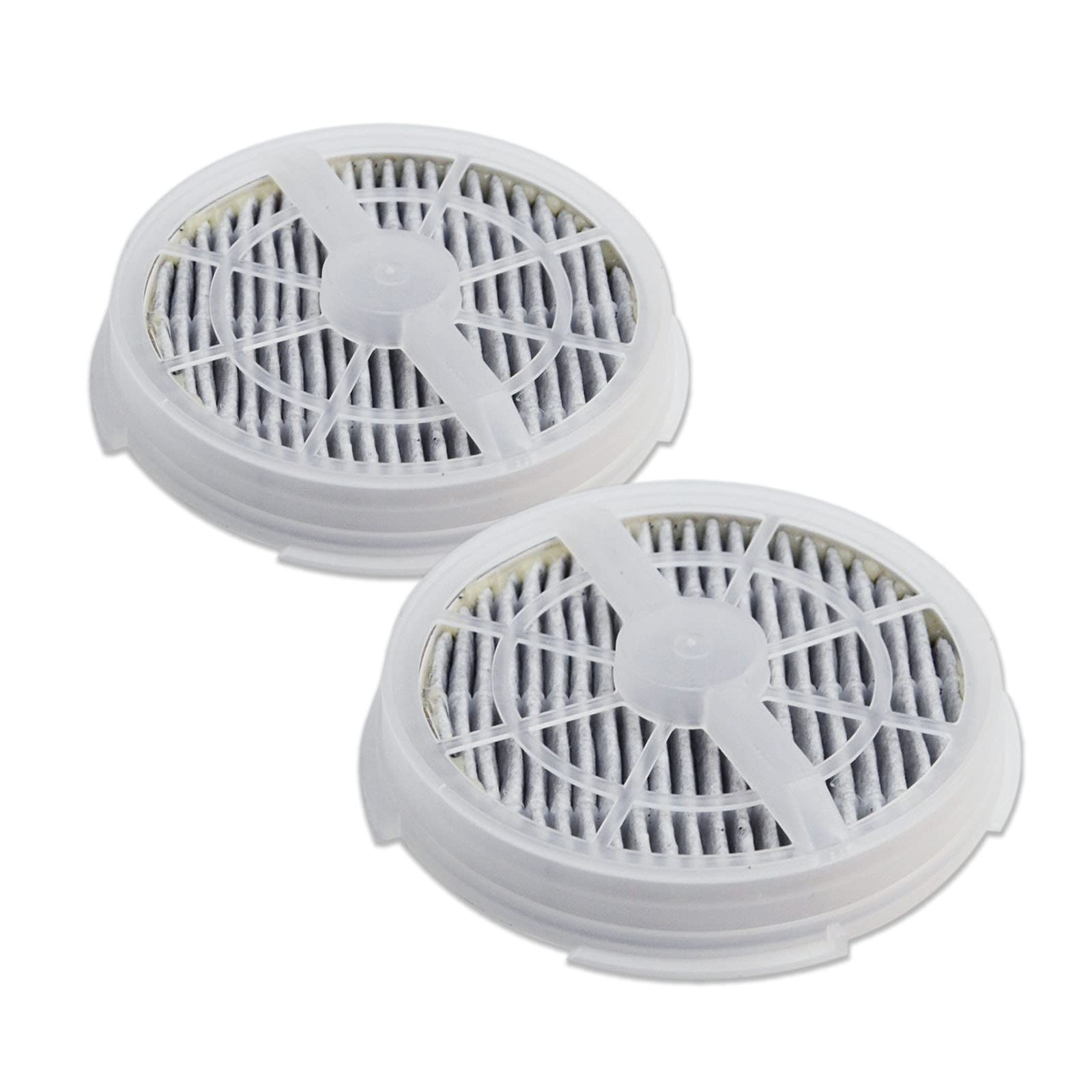 PUREBURG GL-2103 Replacement HEPA Filter Compatible with RIGOGLIOSO JINPUS MELEDEN Houzetek WSTA DHS COSTWAY & SY900S Air Purifiers,2-Pack