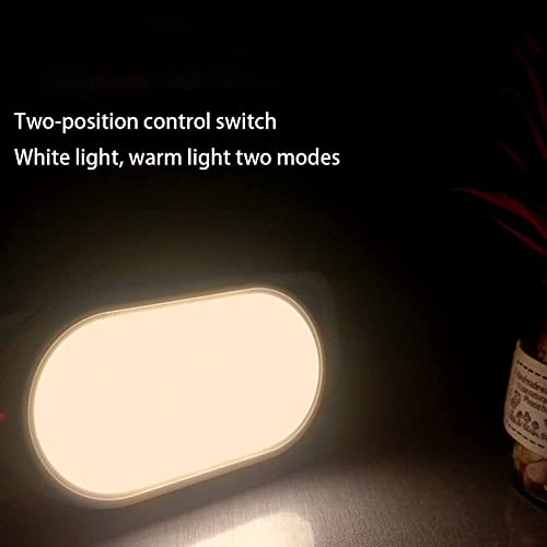 Nightlight,Button Switch, Warm Light + White Light, 0.6W, 220V, Modern and Simple, Suitable for Babies, Children, Children's Rooms, Corridors and Other Scenes (1 Pack