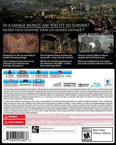 NAtURAL DOCtRINE - PlayStation 4