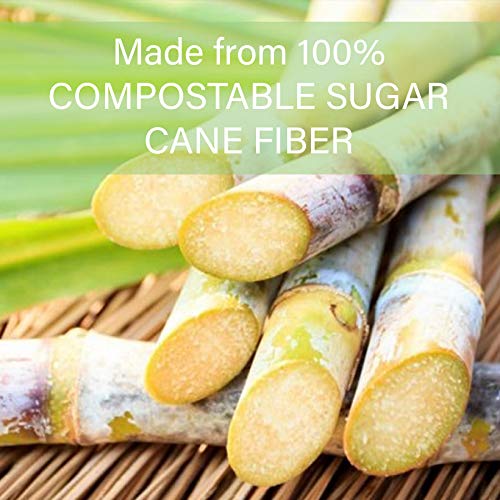 Stalkmarket 100% Compostable Natural Plant Fiber 5-Compartment Tray, 500-Count Case