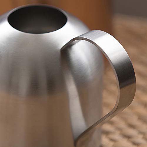 YISSN Small Watering Can for Indoor Office Stainless Steel Long Spout, 15oz/450ml