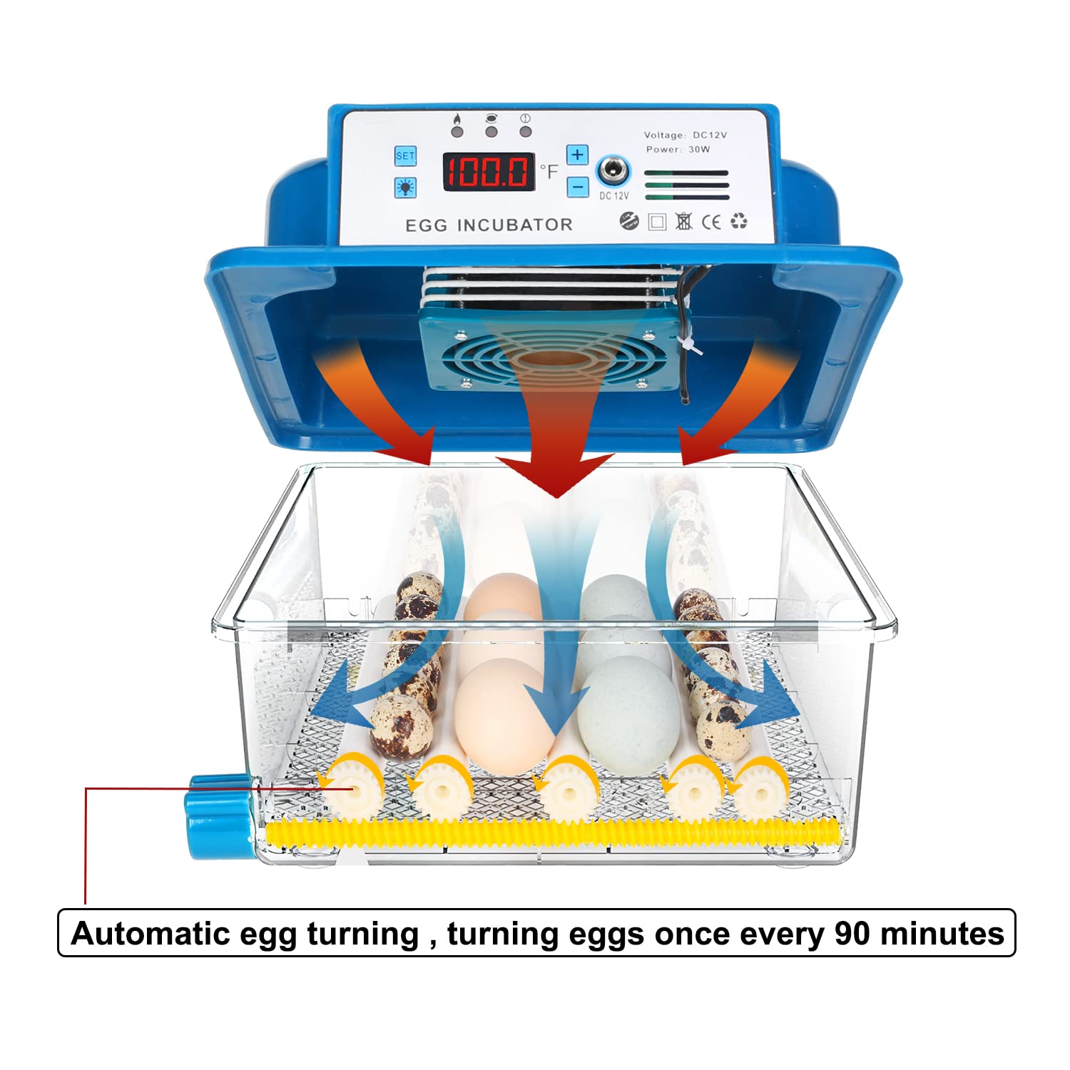 Vevitts 16 Eggs Incubators for Hatching Egg with Automatic Turner, Fahrenheit Temperature Control Chickens Quail Egg Incubator with Led Candler, 12V/110V/220V Incubators Kit for Farm Poultry