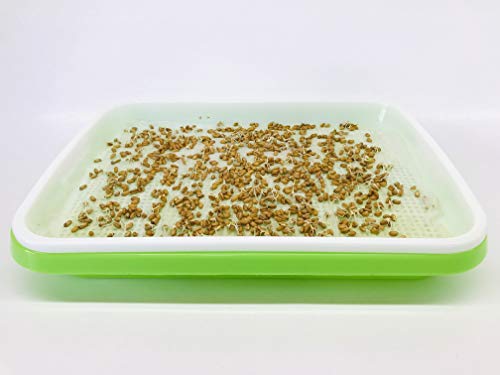 Pack of 150 pcs Germinating Growing Paper Seed Sprouter Vegetable Microgreens Planting Paper 7.8" x 11.4". Fit for Plant Germination Tray (13.4"x 9.8") Trays NOT Included