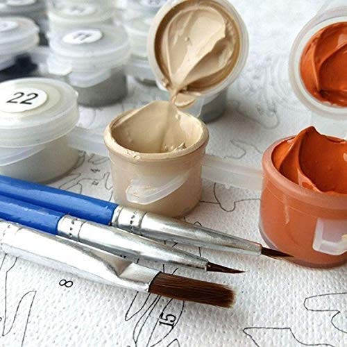 Paint by Numbers Kit for Adults Beginner Kids, Peaceful Mountain Lake Pattern Pre Pattern Acrylic on Canvas Painting DIY Paintwork Drawing Art - Home Wall Decor Birthday Choice -16x20 inches[No Frame]111