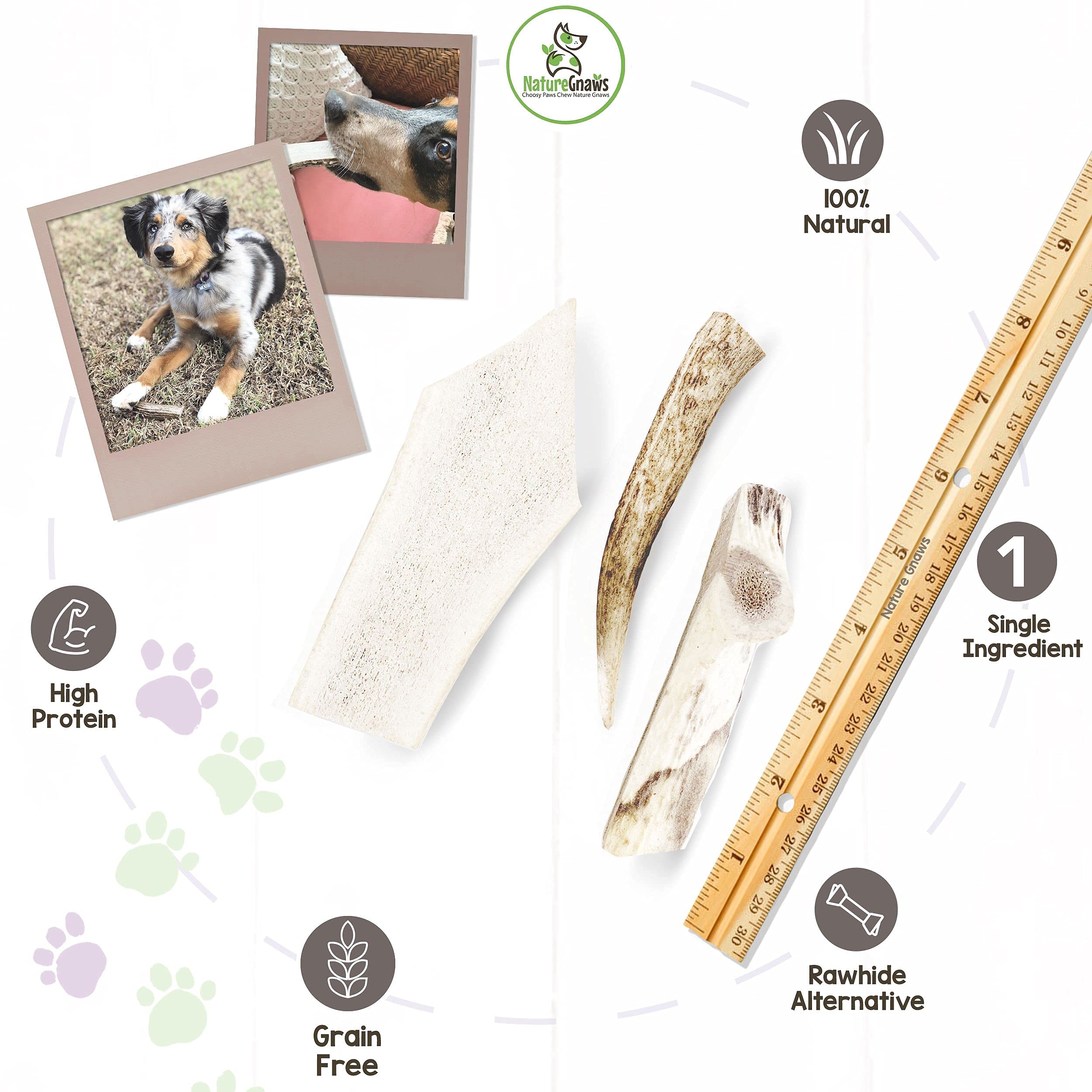 Nature Gnaws USA Elk Antlers for Dogs 5-8" (3 Count) - Mix of Split and Whole Pieces - Long Lasting for Aggressive Chewers - Natural Dog Chew Bones