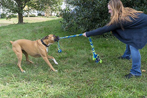 PetSafe Infini-Tug Dog Toy