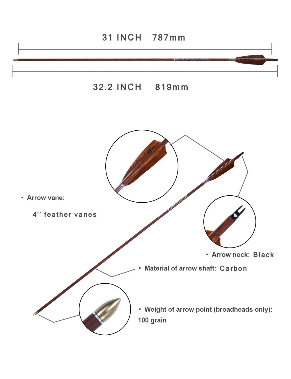 PANDARUS Archery 31-Inch Carbon Hunting Arrows, 4-Inch Turkey Feather Fletching with Replaceable Points, Targeting Practice Arrows Spine 500 for Recurve & Traditional Bows (12 Pack)